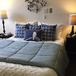 Providence Mount St. Vincent UPDATED JUNE 2026 View 7 Photos & Amenities