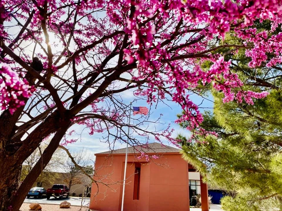 Desert Springs Health Care LLC UPDATED NOVEMBER 2025 View 2 Photos ...